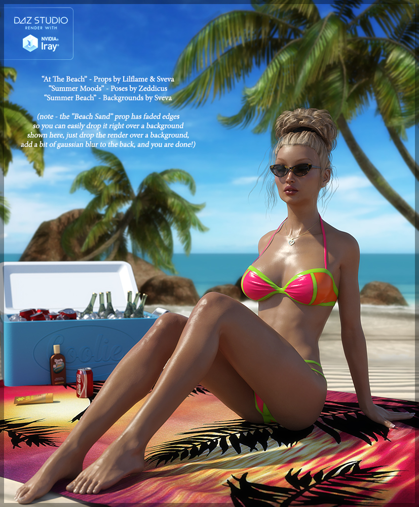 At The Beach Accessories | Daz 3D