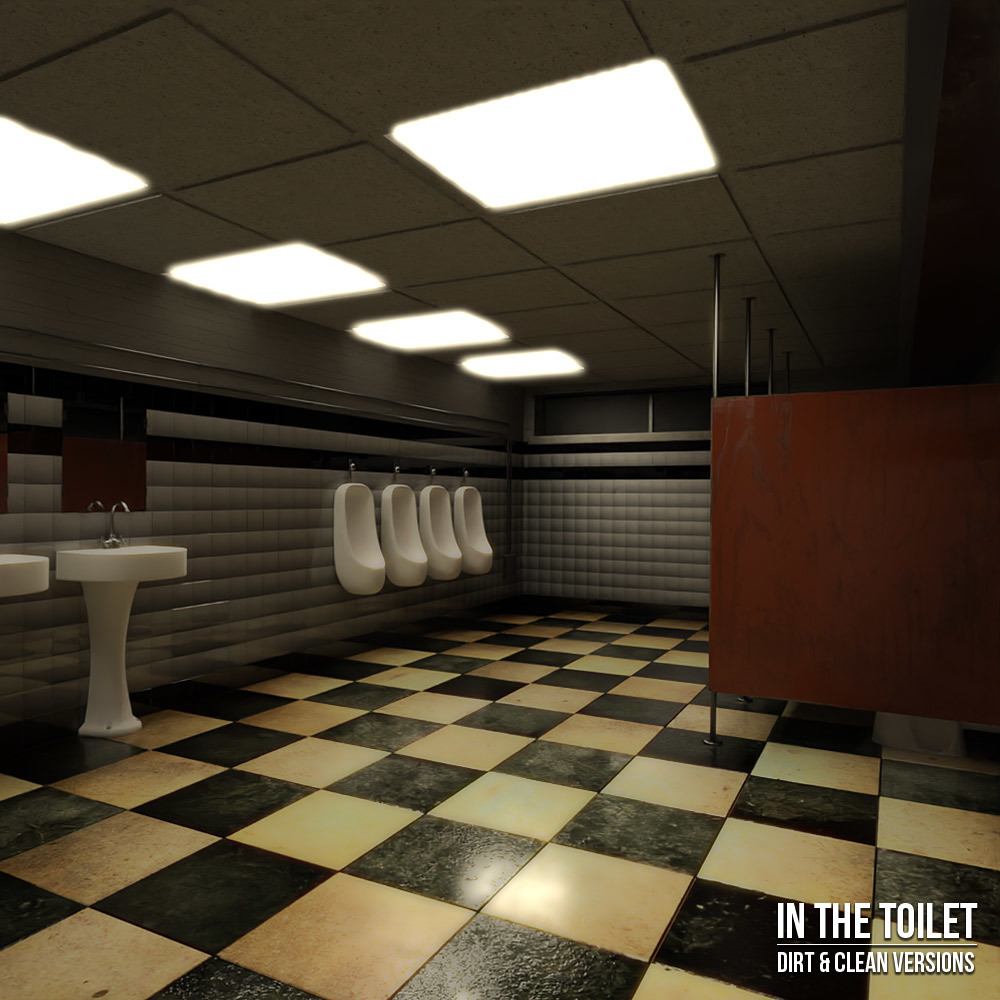 In The Toilet for DS Iray | Daz 3D