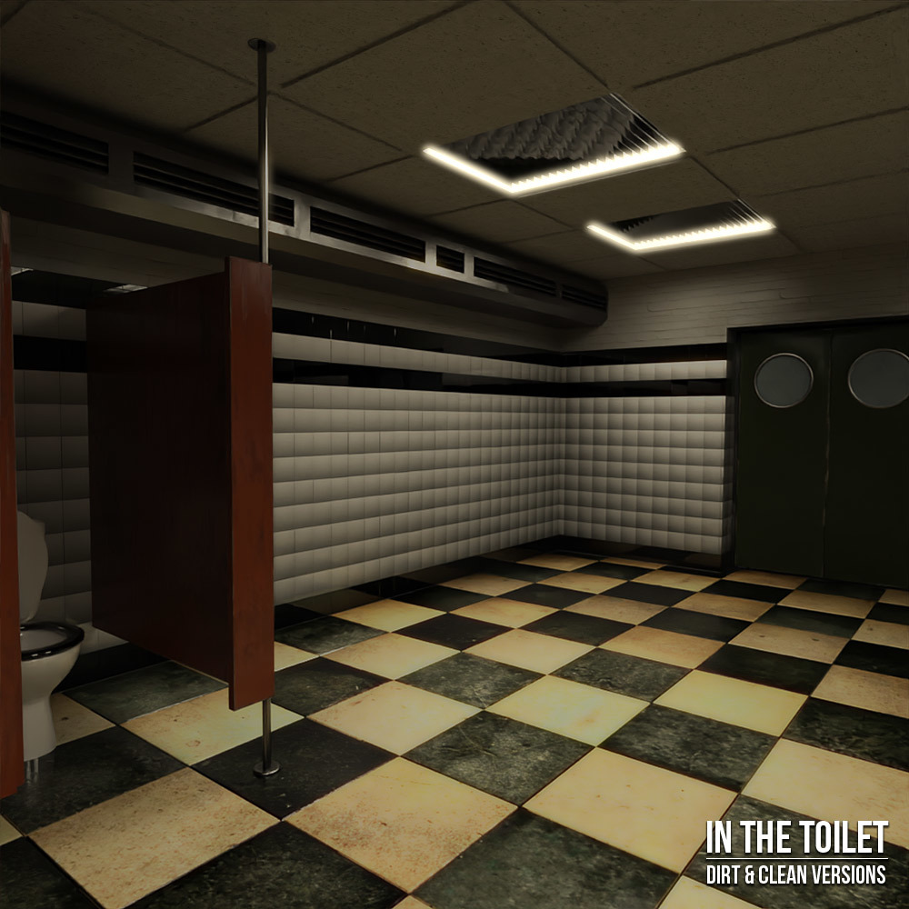 In The Toilet for DS Iray | Daz 3D