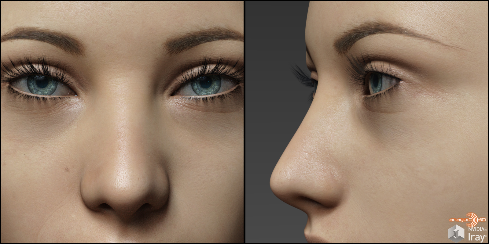 Nose Morphs for G8F Vol 1 | Daz 3D