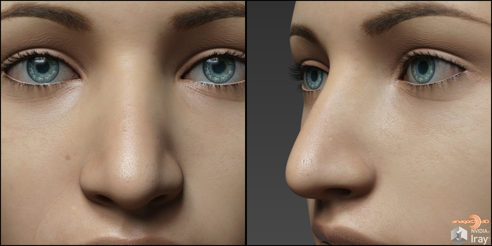 Nose Morphs for G8F Vol 2 | Daz 3D