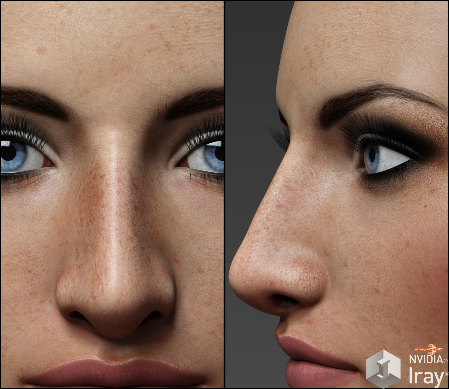Nose Morphs for G3F Vol 1 | Daz 3D