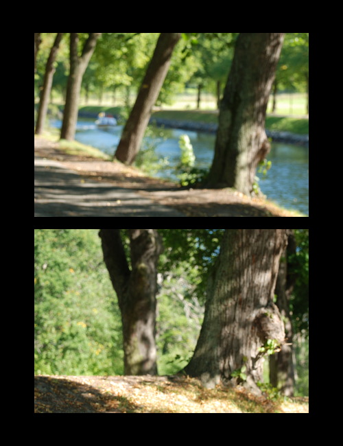 Dreamlight Real Lens DOF Backgrounds | Daz 3D