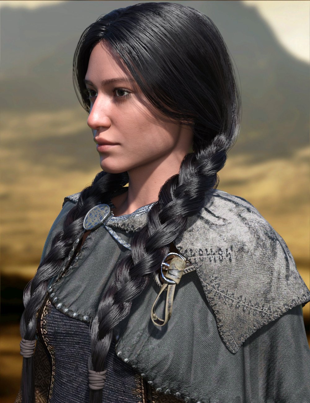 Cheyenne Braids for Genesis 9 | Daz 3D