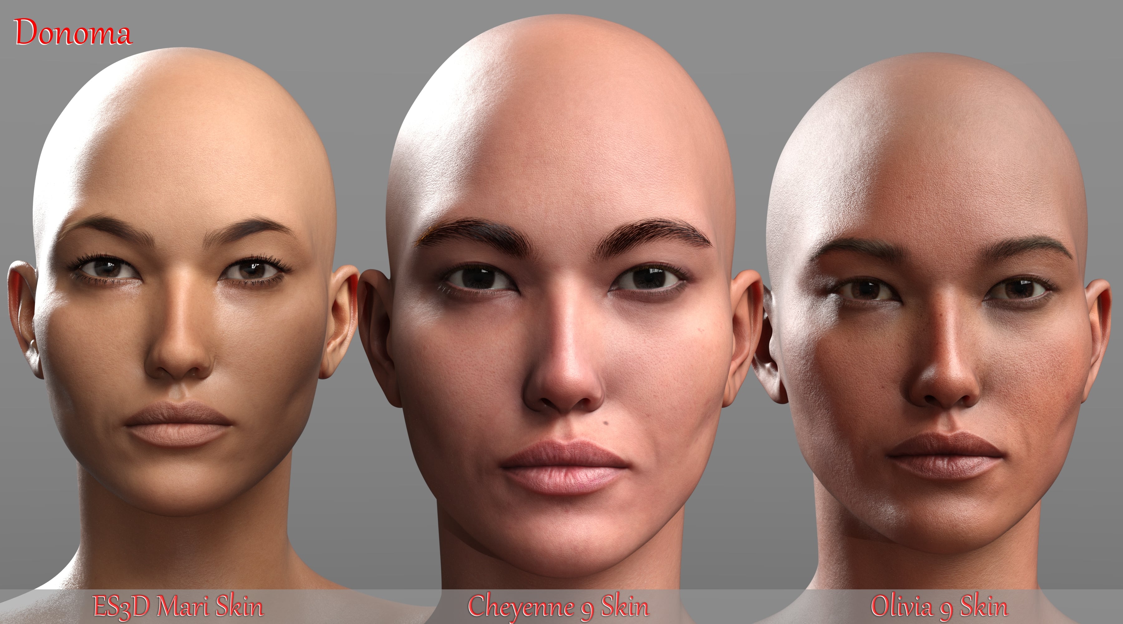 Cheyenne 9 Kinship Alternate Face Morphs | Daz 3D