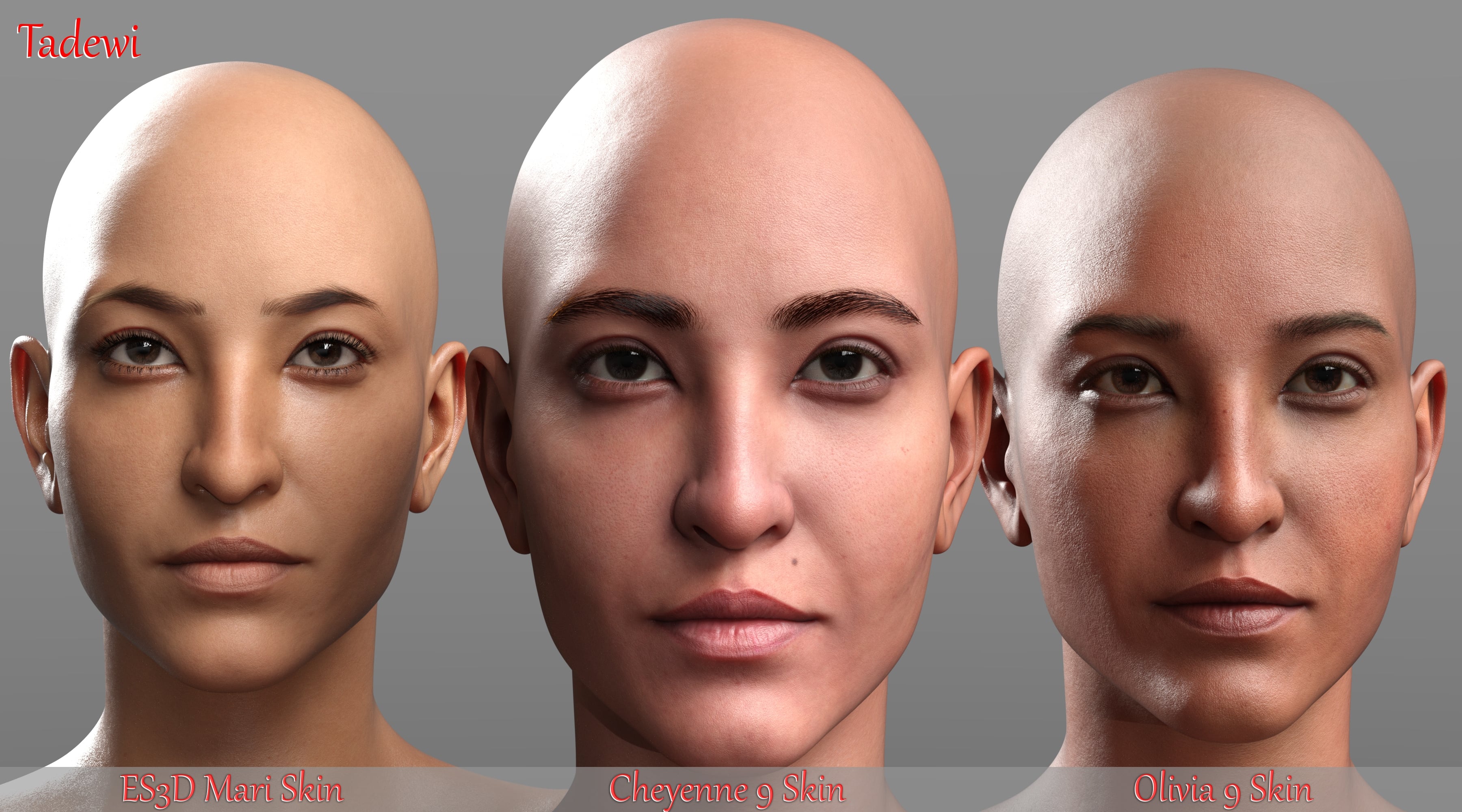 Cheyenne 9 Kinship Alternate Face Morphs | Daz 3D
