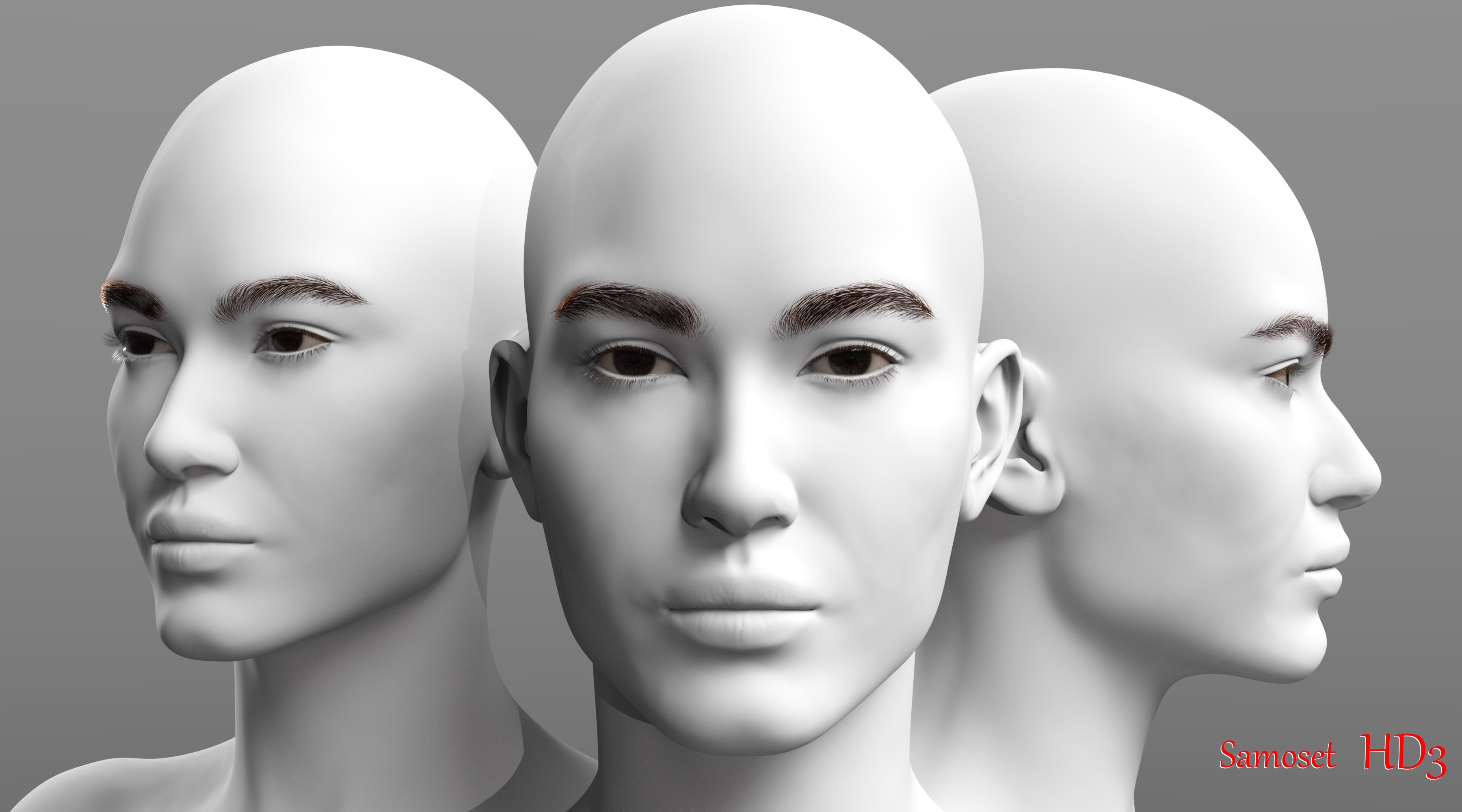 Cheyenne 9 Kinship Alternate Face Morphs Daz 3d