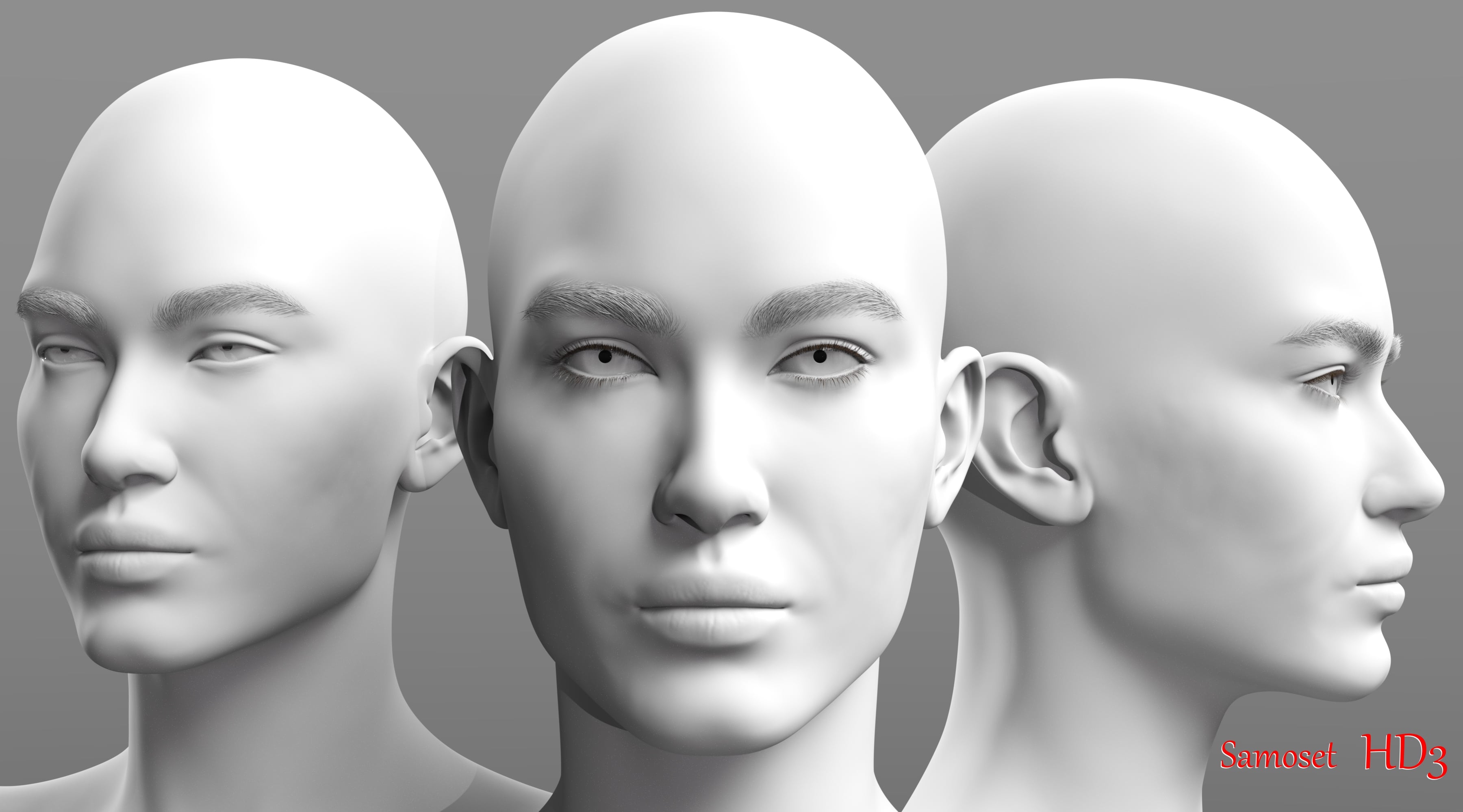 Cheyenne 9 Kinship Alternate Face Morphs | Daz 3D