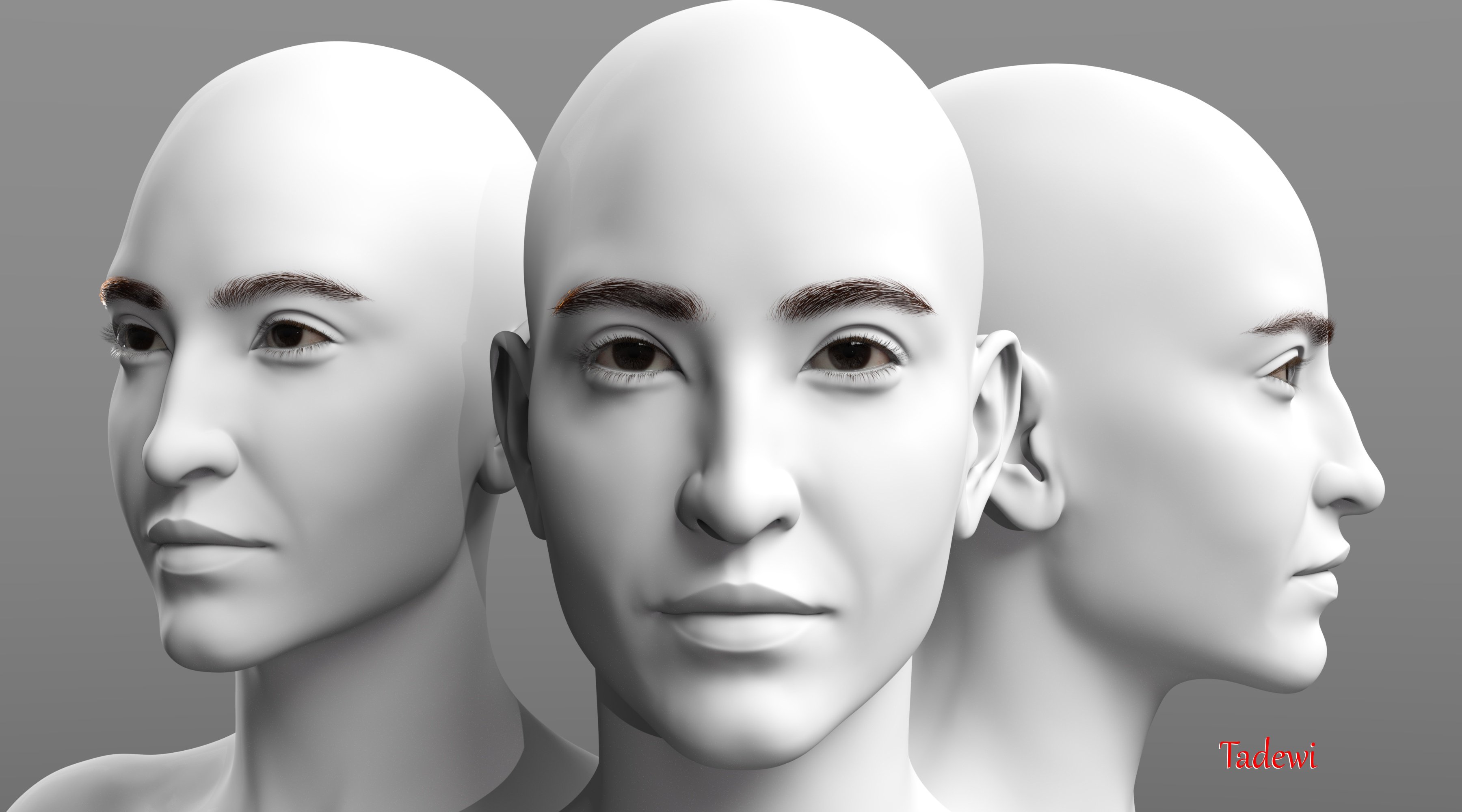 Cheyenne 9 Kinship Alternate Face Morphs | Daz 3D