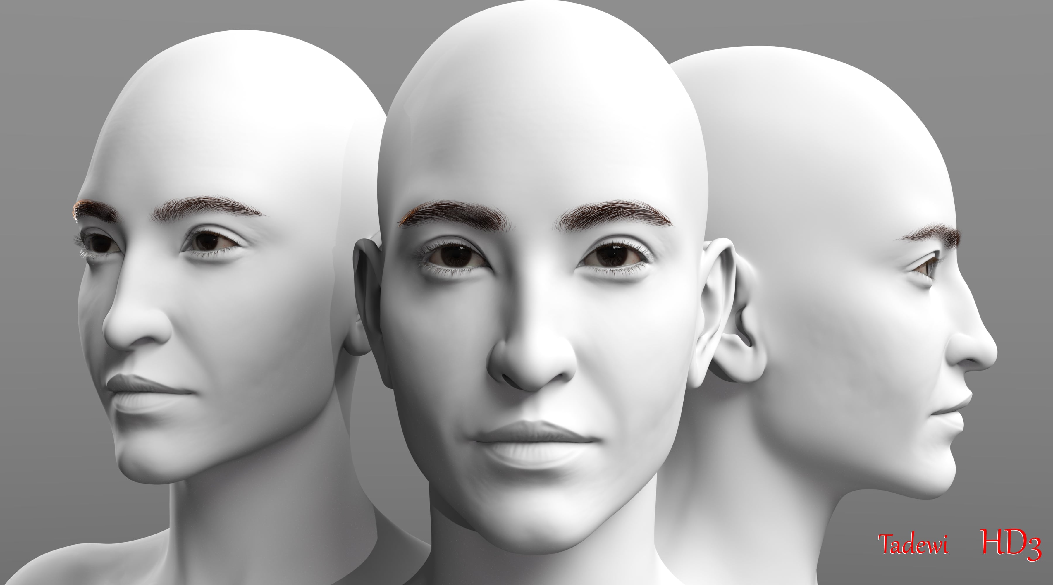 Cheyenne 9 Kinship Alternate Face Morphs | Daz 3D