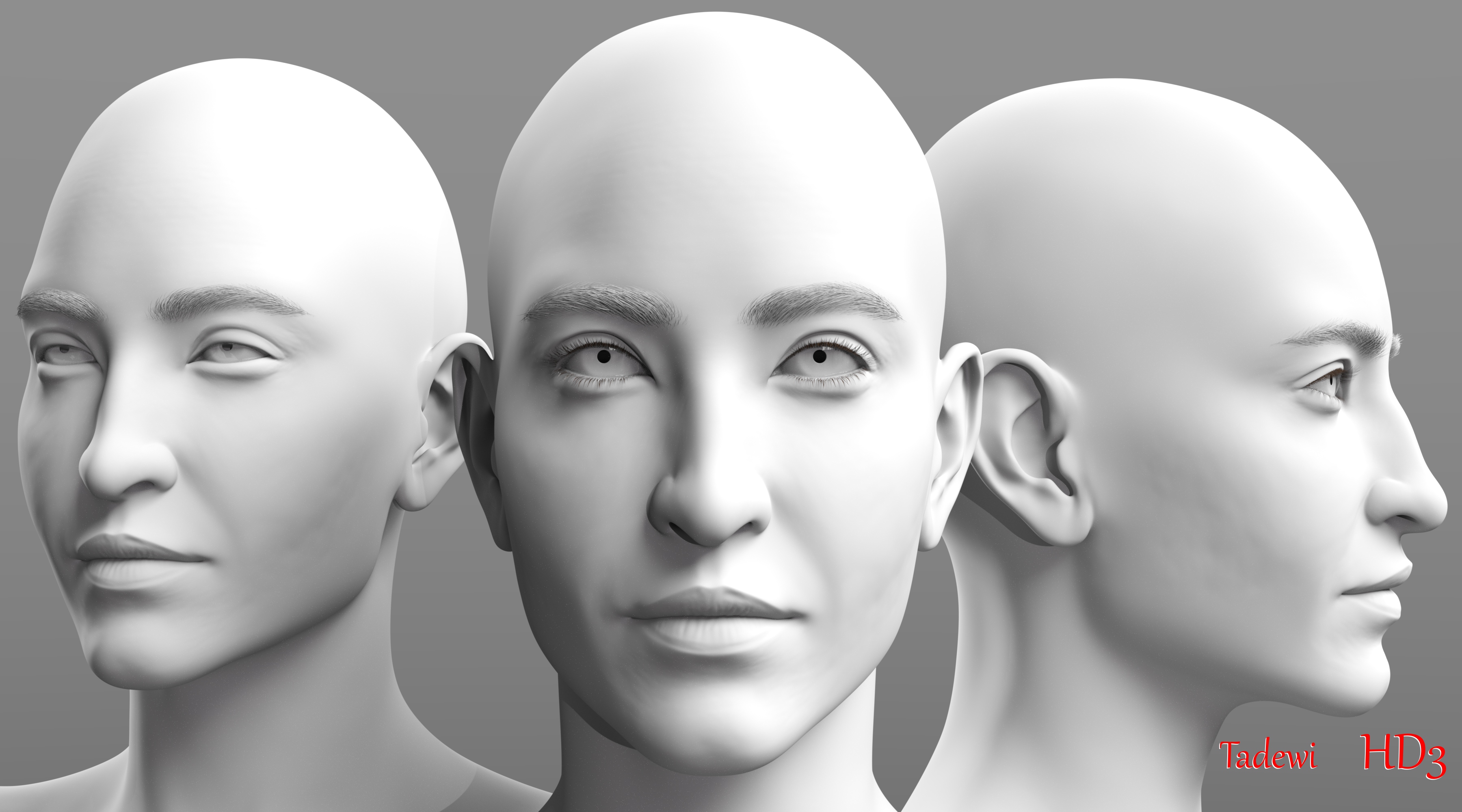 Cheyenne 9 Kinship Alternate Face Morphs | Daz 3D