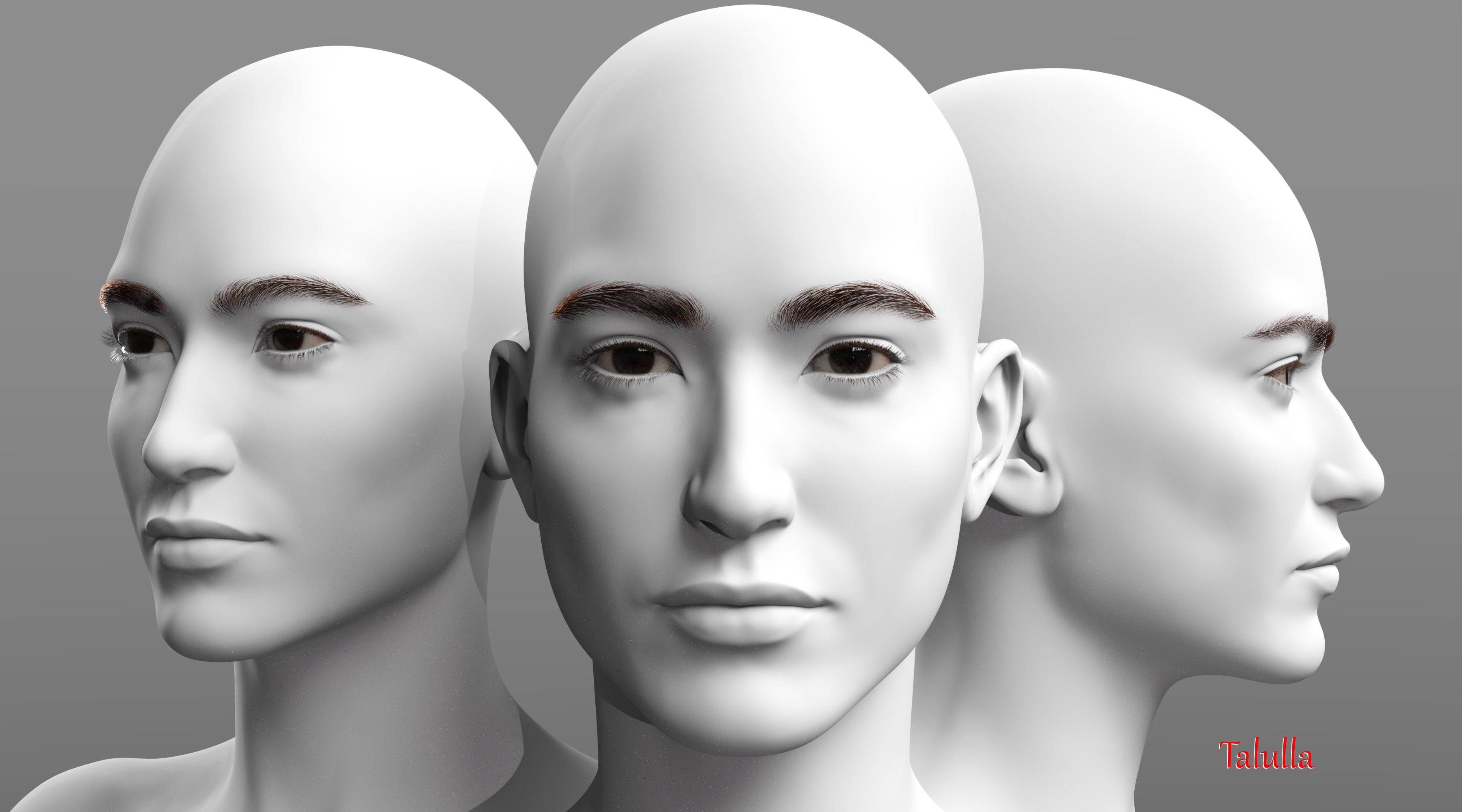 Cheyenne 9 Kinship Alternate Face Morphs | Daz 3D