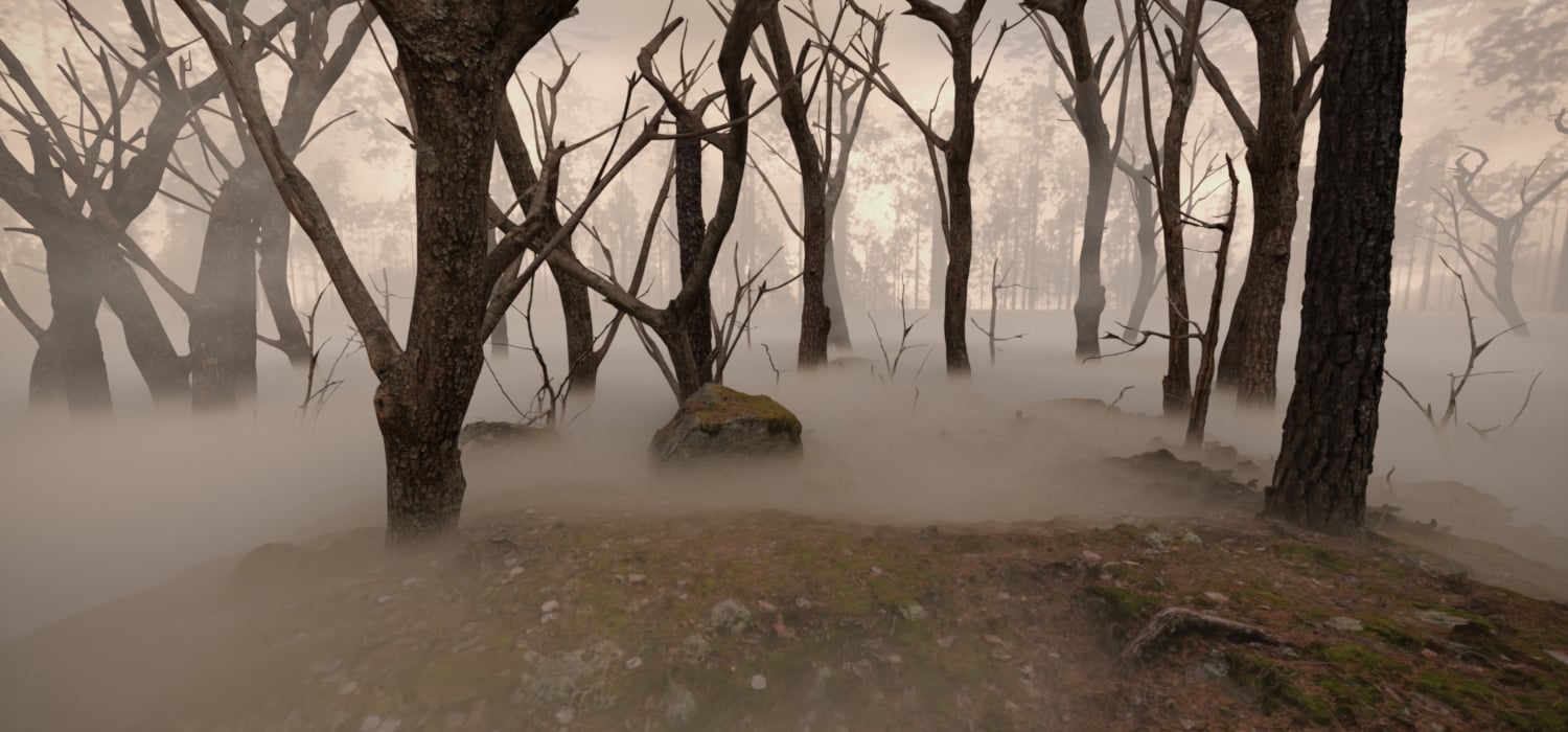 Mystical Forest | Daz 3D