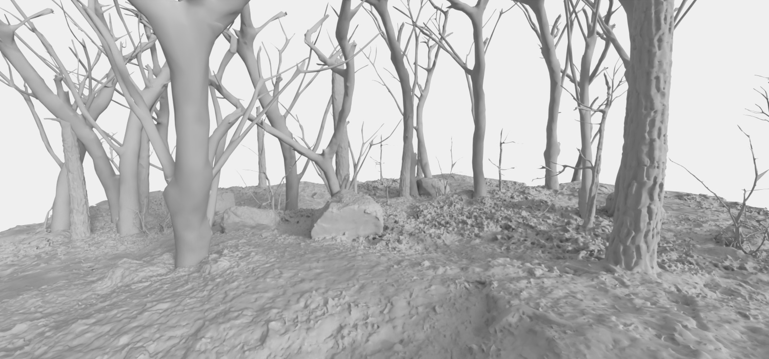 Mystical Forest | Daz 3D