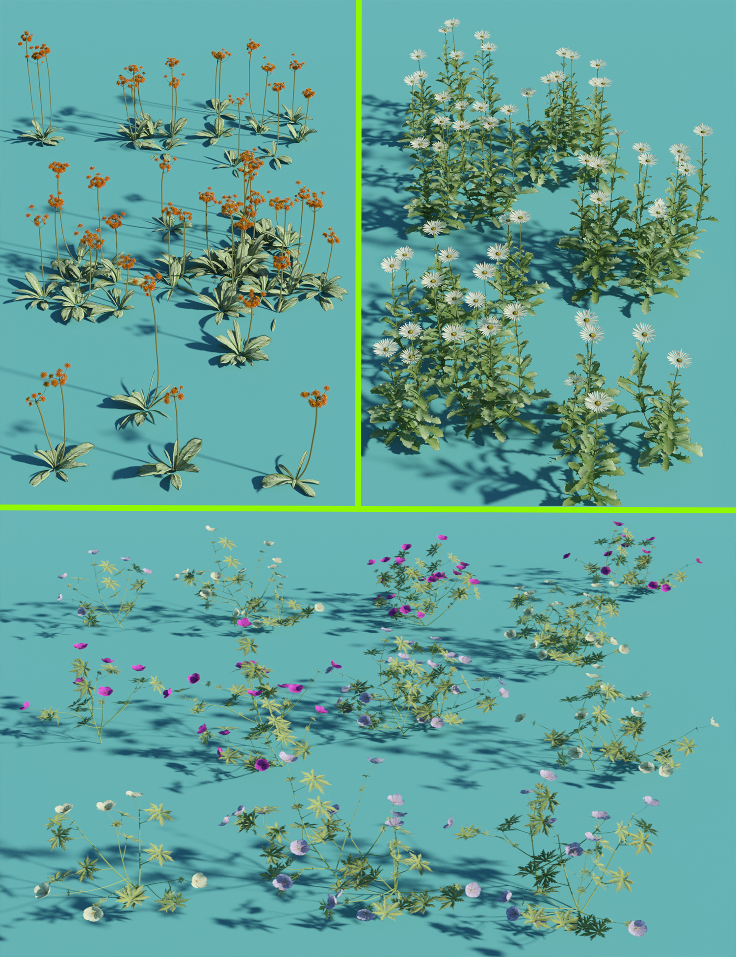Meadow Flowers Bundle | Daz 3D