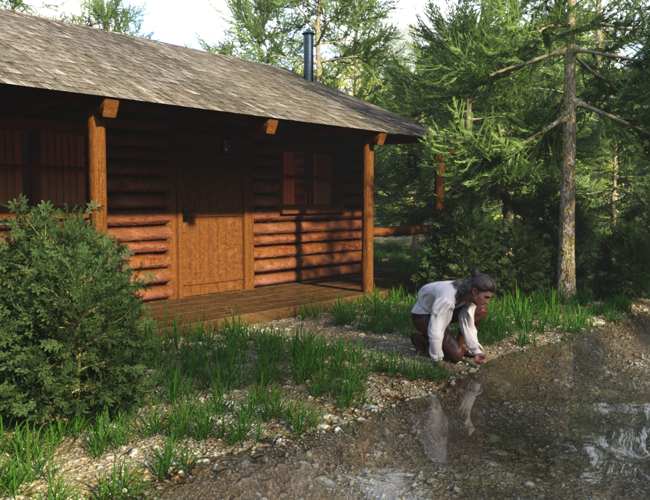 My Log Cabin | Daz 3D