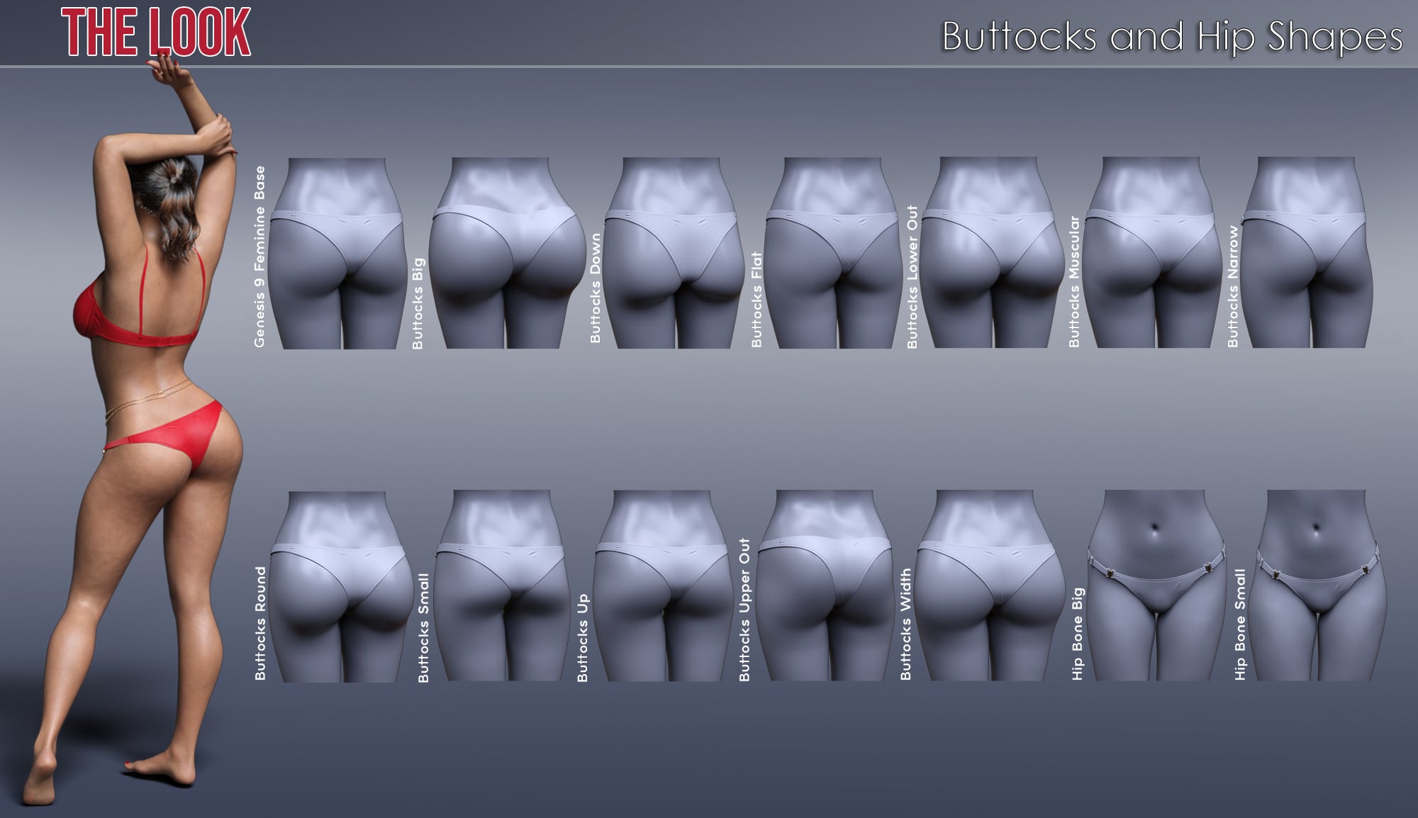 The Look Body Morph Resource for Genesis 9 Feminine | Daz 3D