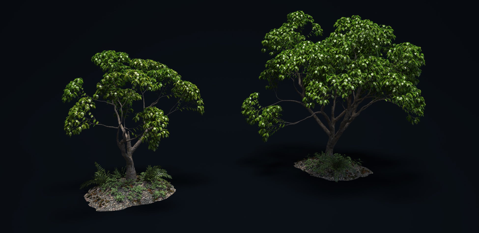 Jungle Construction Kit 03 | Daz 3D