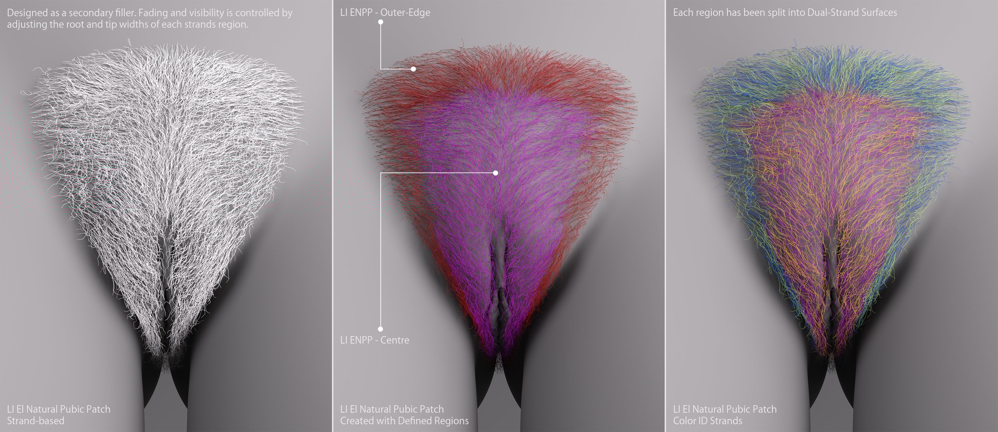 LI El Natural Pubic Hair for the Genesis 9 Female Anatomy | Daz 3D