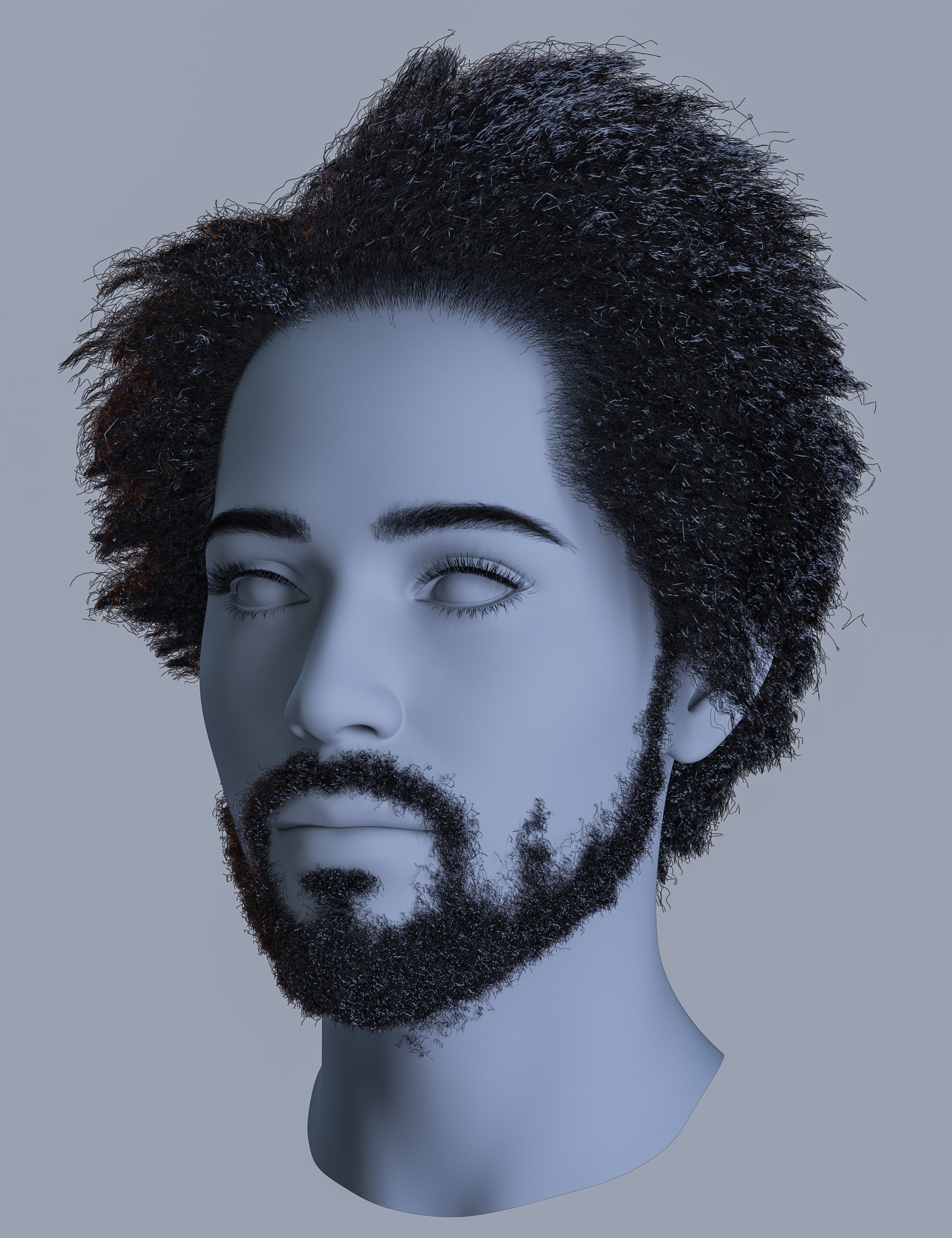 HS Mandeep Frizz Hair and Beard for Genesis 9 | Daz 3D