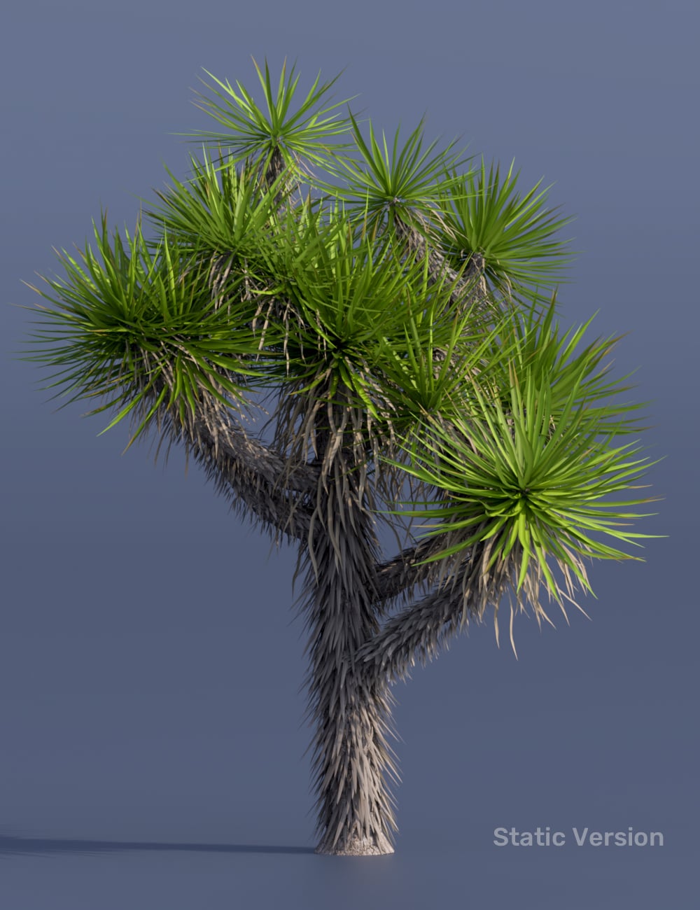 Predatron Joshua Trees | Daz 3D
