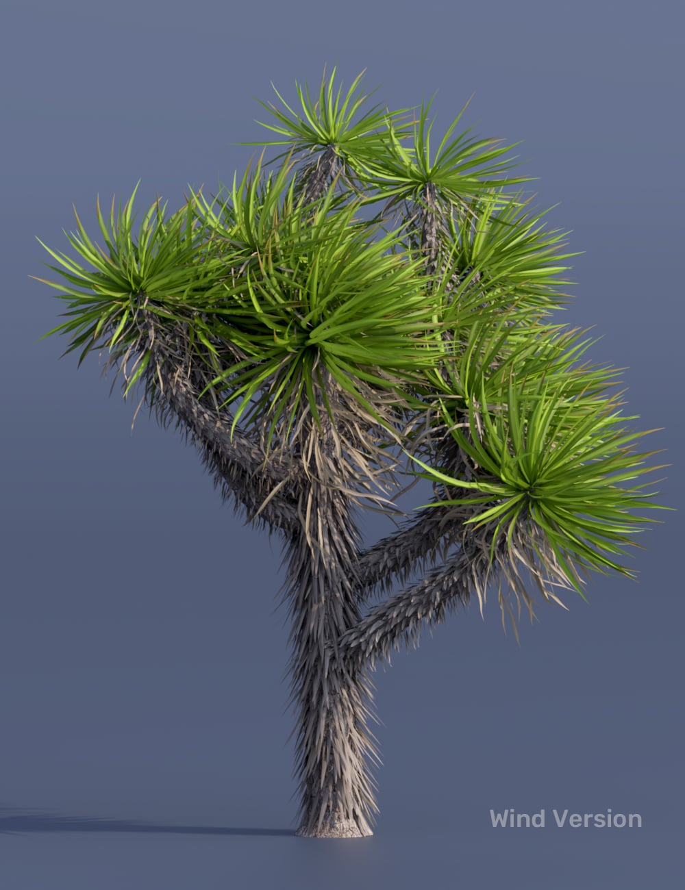 Predatron Joshua Trees | Daz 3D