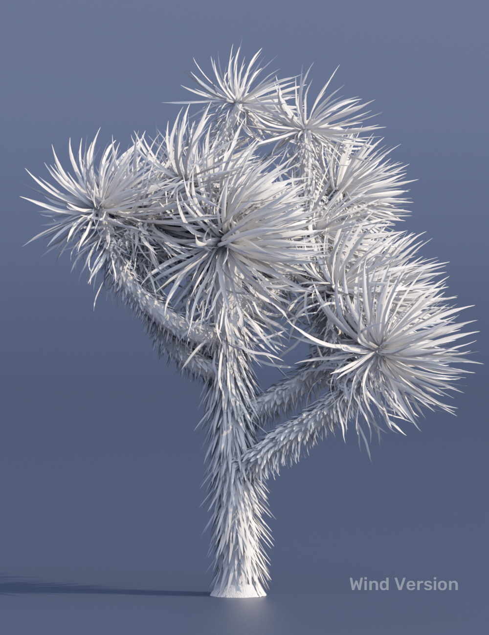 Predatron Joshua Trees | Daz 3D
