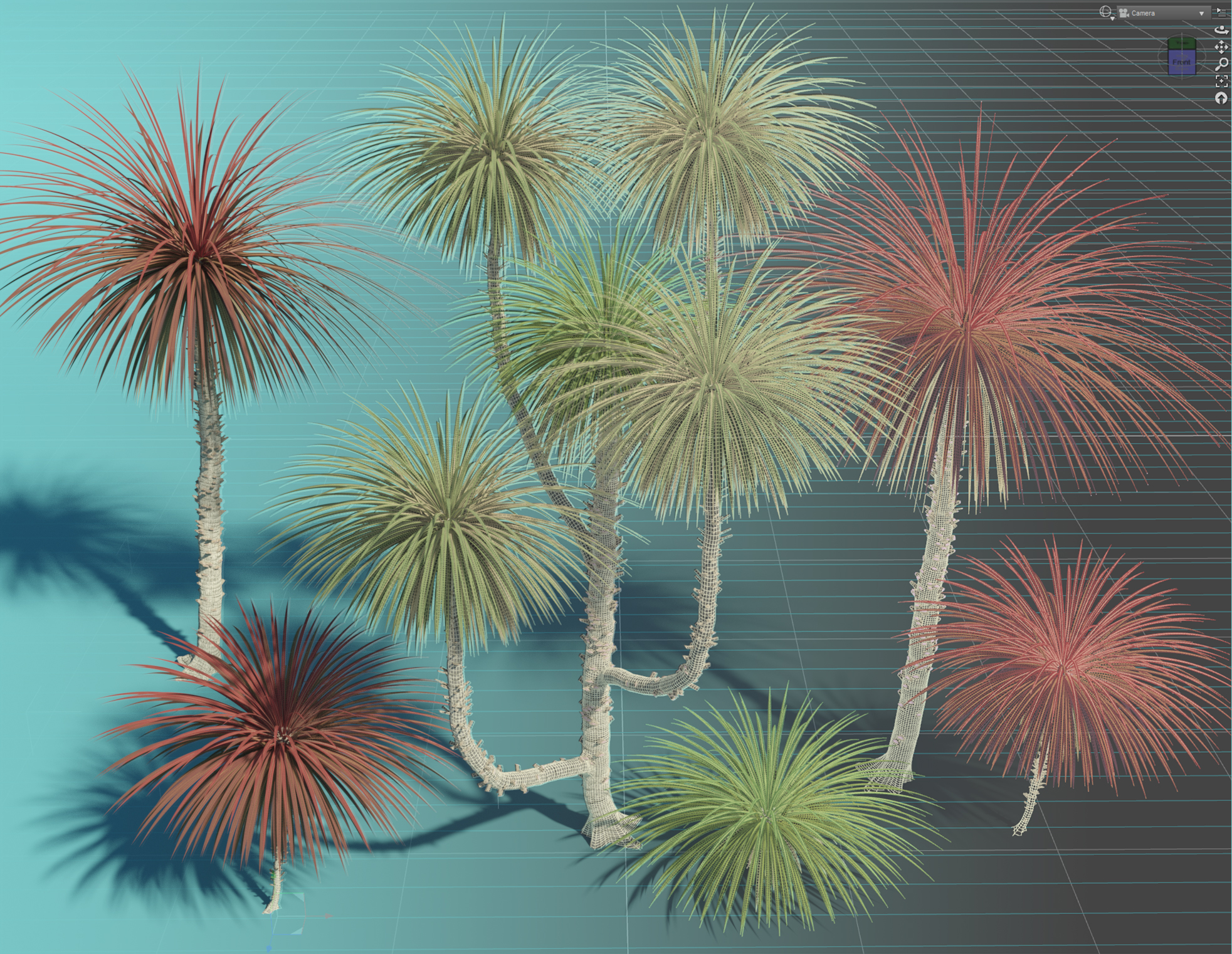 Tropical Cordyline Plants and Palm Trees | Daz 3D