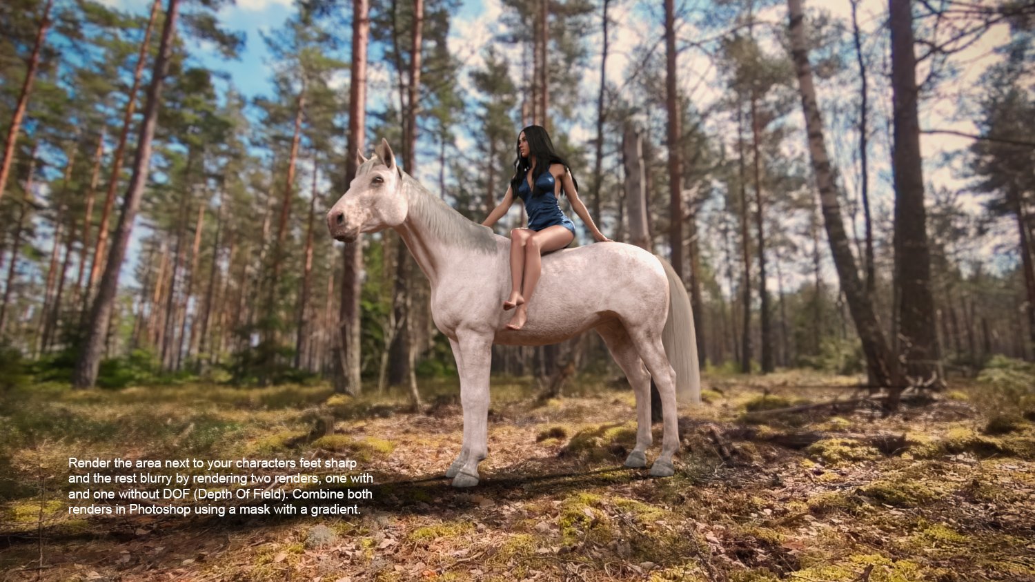 Low Cam HDRIs Forest | Daz 3D