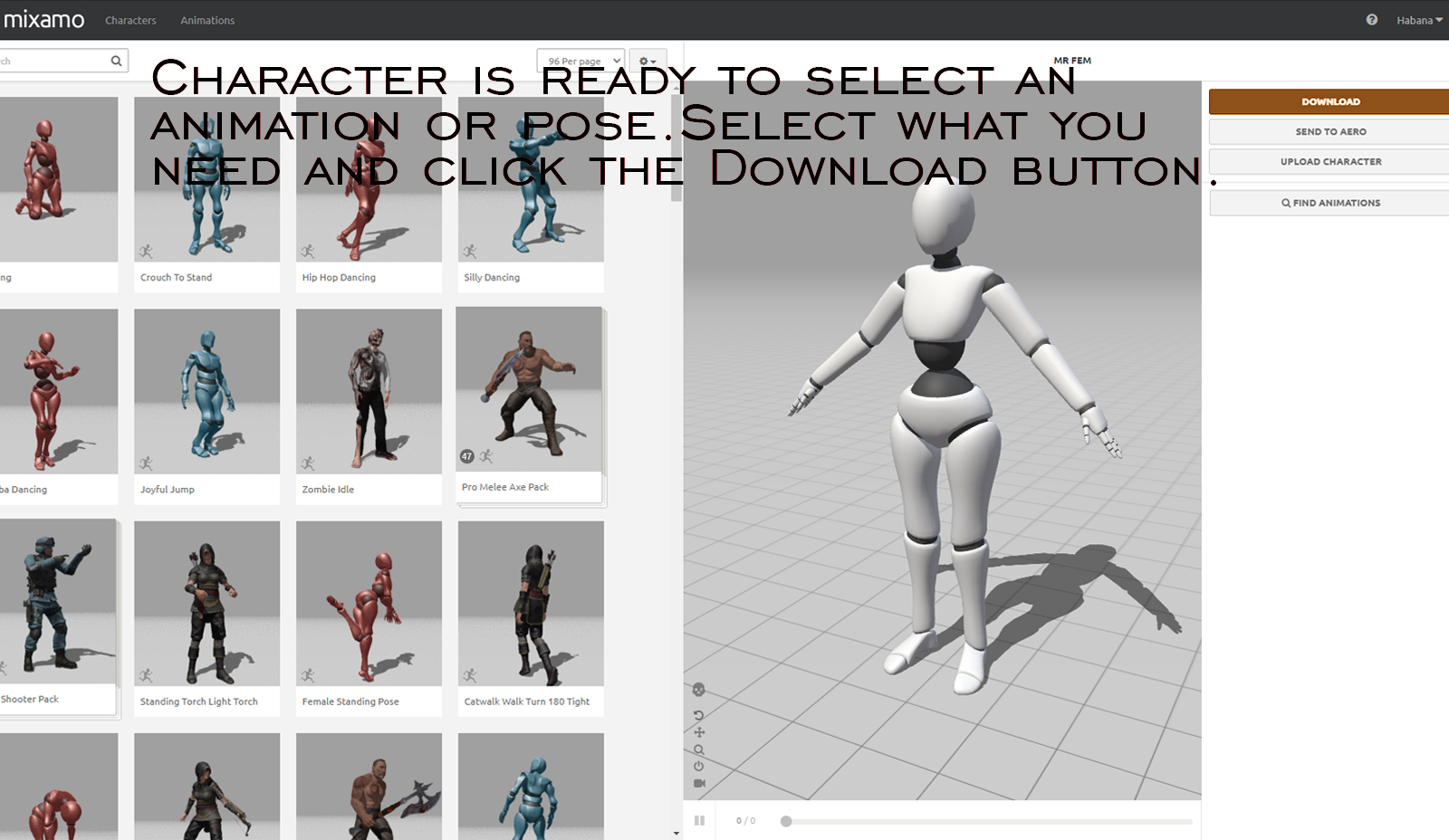 Mixamo Rigged Genesis 9 Character | Daz 3D