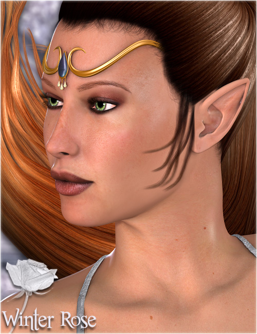 Winter Rose | Daz 3D