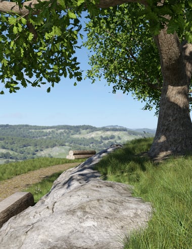 Easy Environments: Oak Woods View | Daz 3D