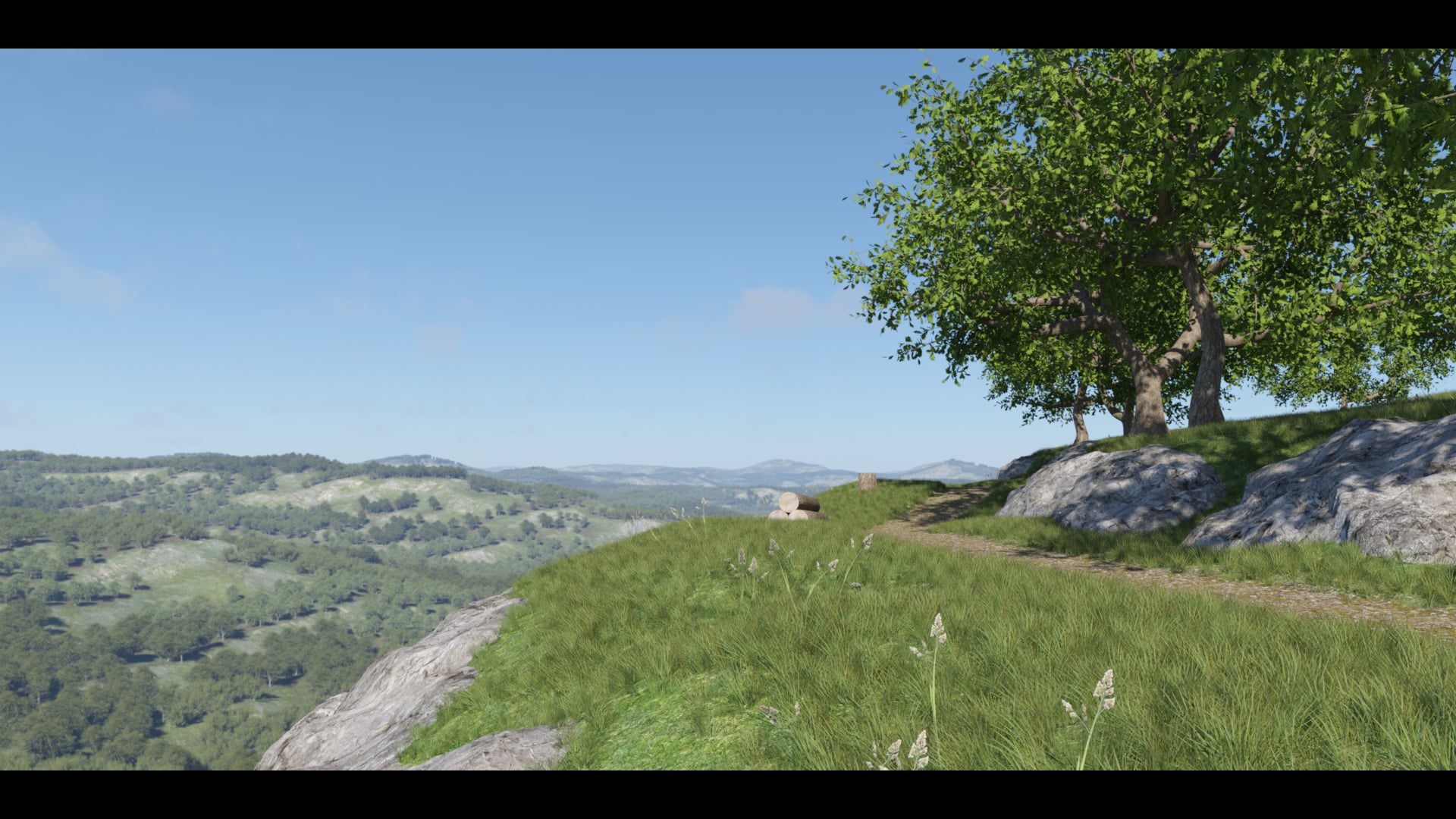 Easy Environments: Oak Woods View | Daz 3D