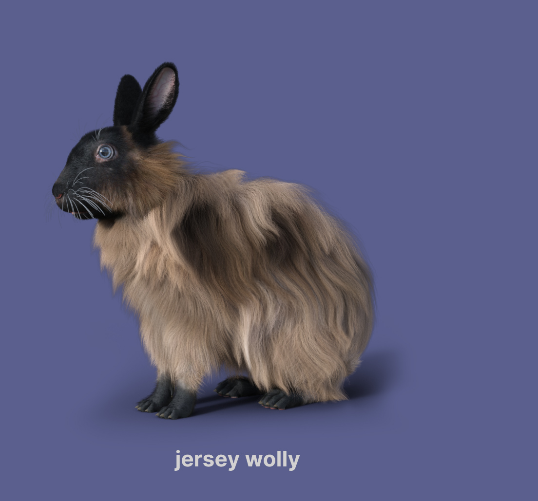 Rabbits by AM - Collection 1 | Daz 3D