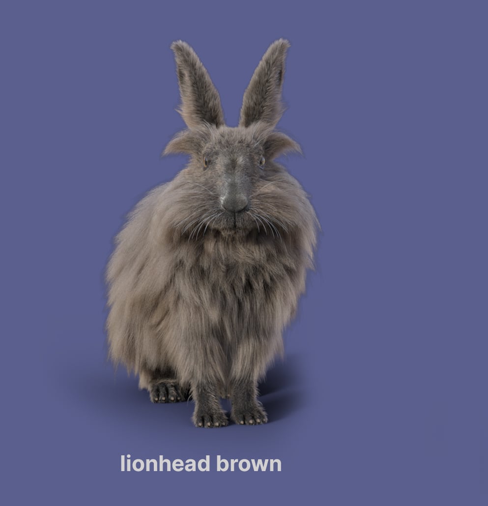 Rabbits by AM - Collection 1 | Daz 3D