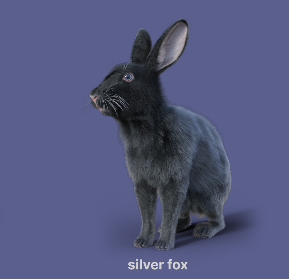 Rabbits by AM - Collection 1 | Daz 3D