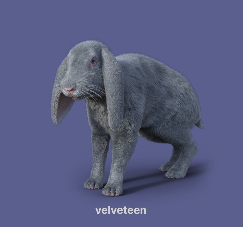 Rabbits by AM - Collection 1 | Daz 3D