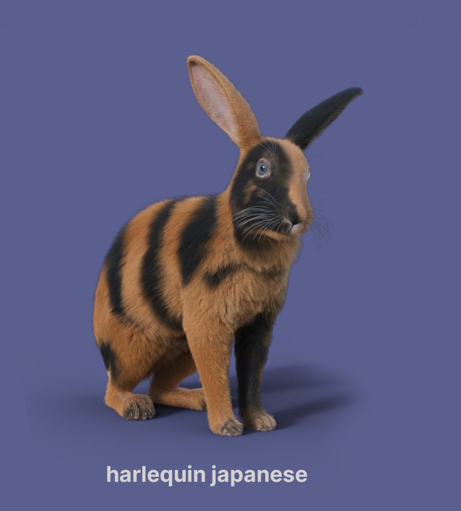 Rabbits by AM - Collection 1 | Daz 3D