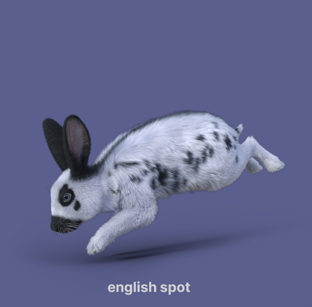 Rabbits by AM - Collection 2 | Daz 3D