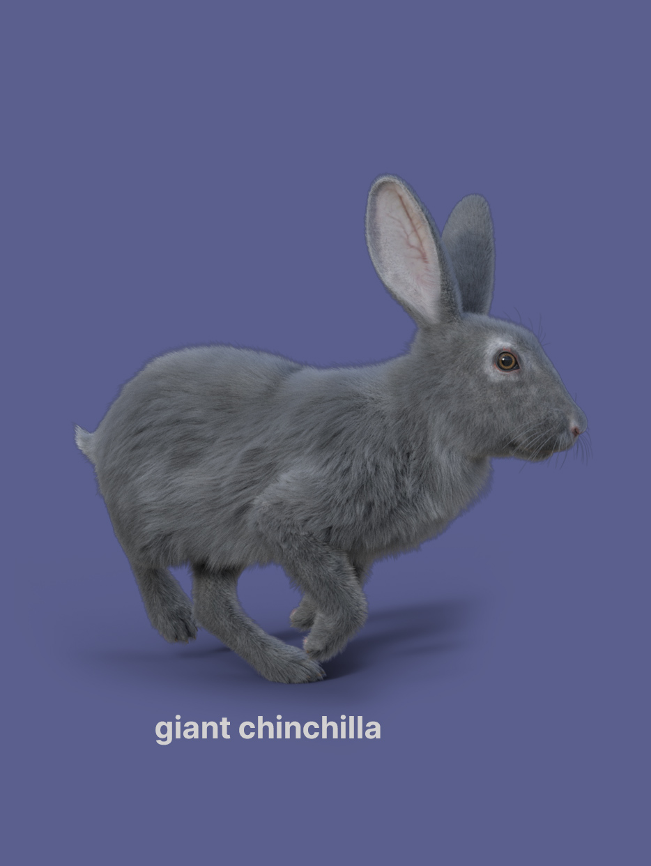 Rabbits by AM - Collection 2 | Daz 3D