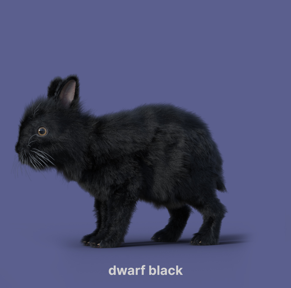 All the Rabbits by AM | Daz 3D