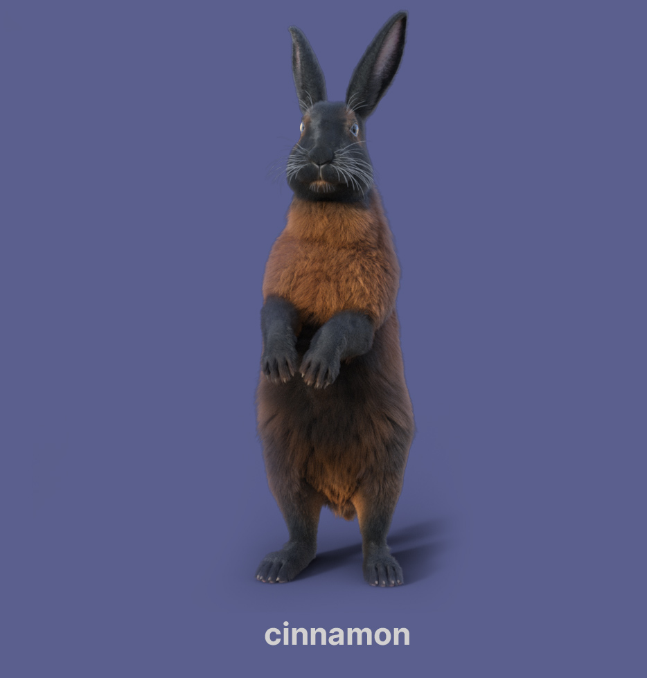 All the Rabbits by AM | Daz 3D